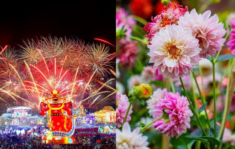 CNY activities return to full physical form for the Year of the Rabbit