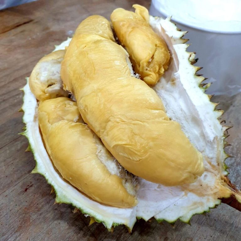 Top 16 Types of Durian in Singapore - Lobangsiah.Sg